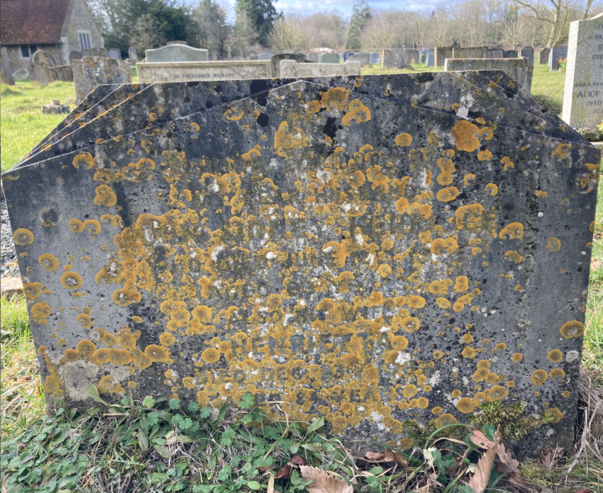 John & Henrietta Kerridge move into ‘High View’ | Great Ellingham